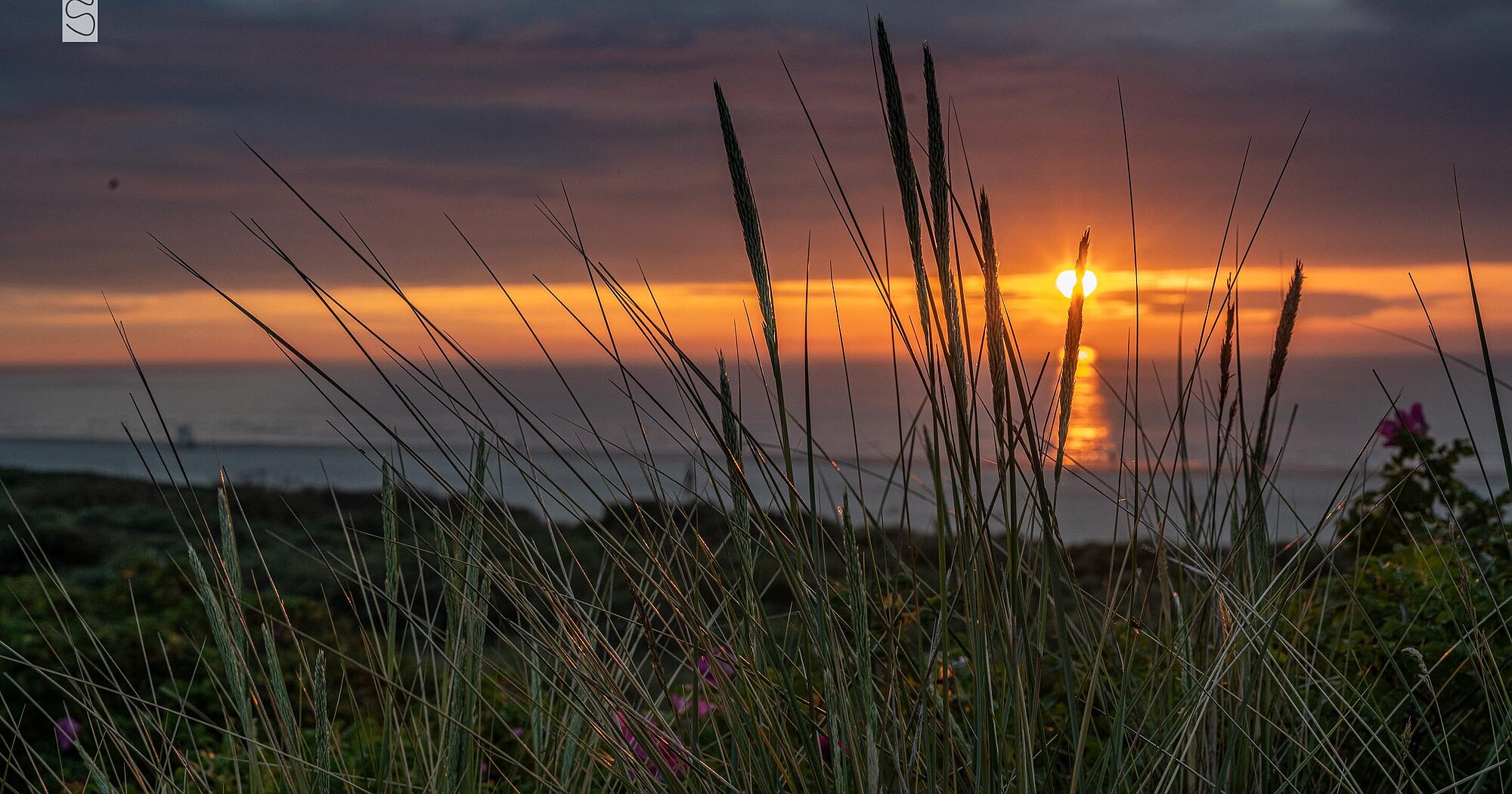 Alle Informationen über Juist | Nordseeinsel Juist